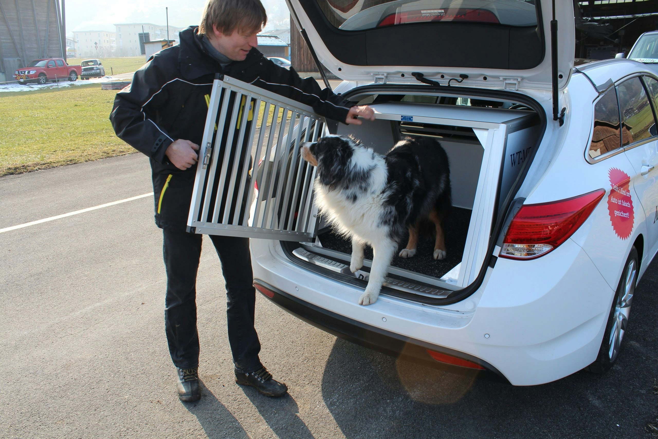 Din hund som et flyvende missil | bilmagasinet.dk