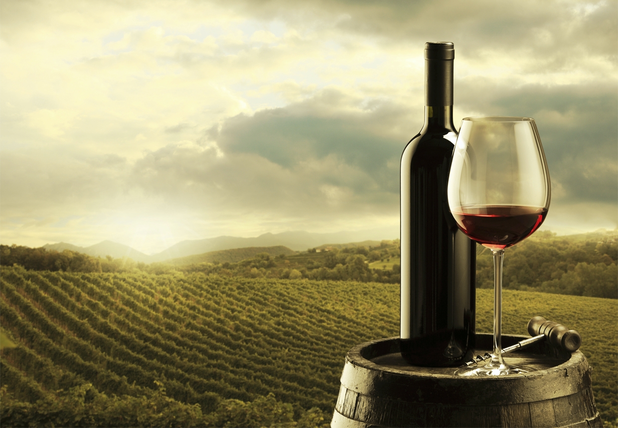 Køb en bolig med egen vinmark | bobedre.dk