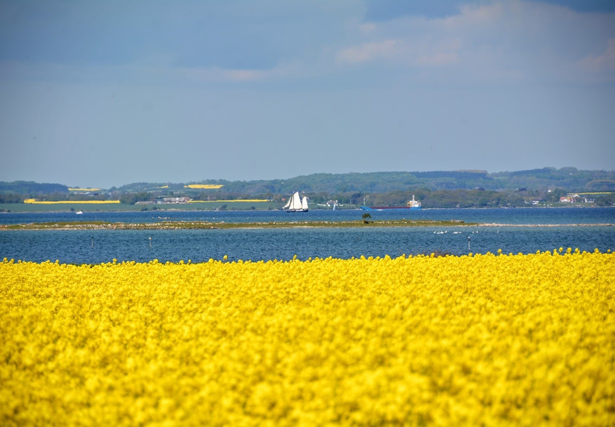 Seværdigheder og restauranter i Svendborg | bobedre.dk