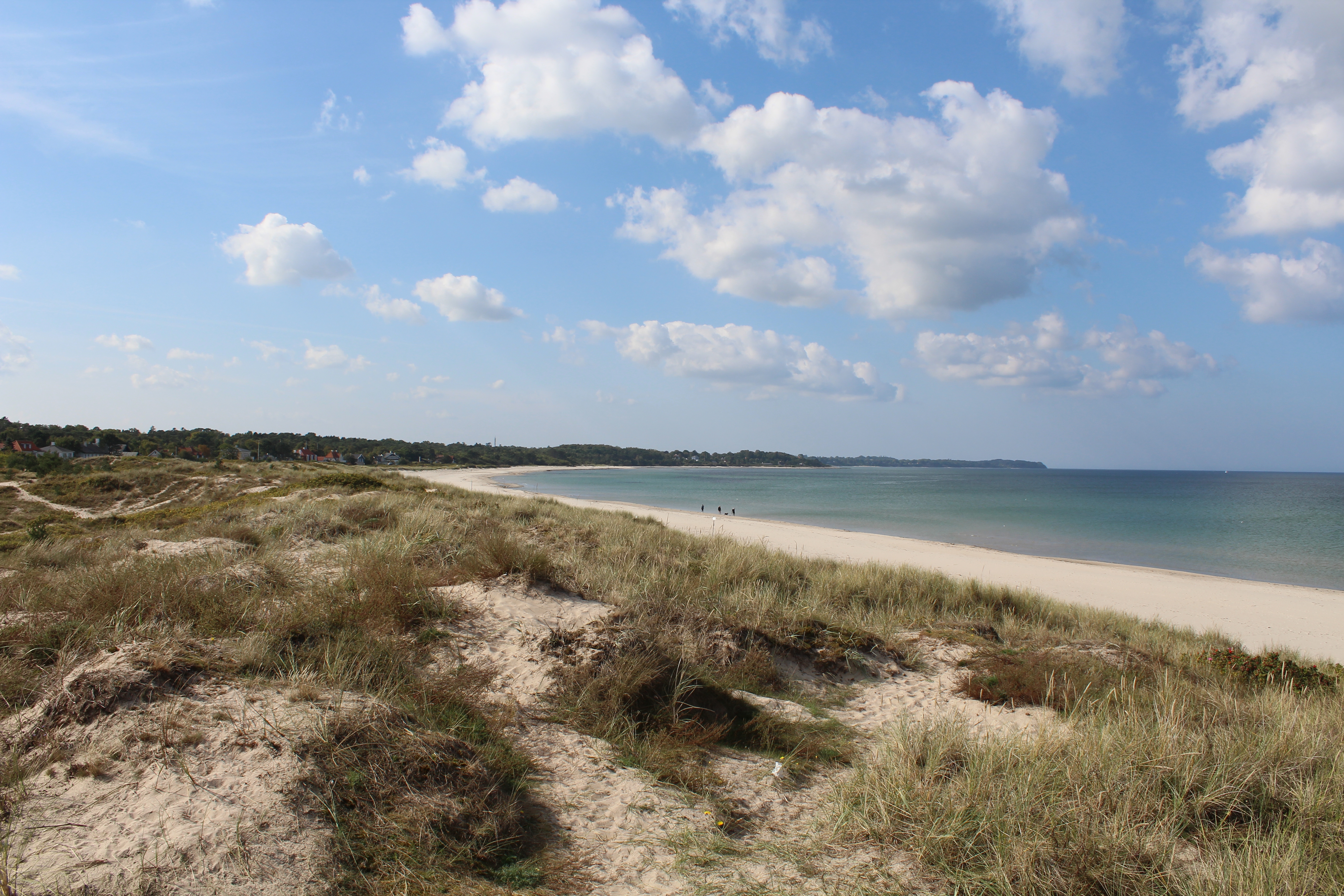 Hvor ligger Danmarks bedste badestrand? | bobedre.dk