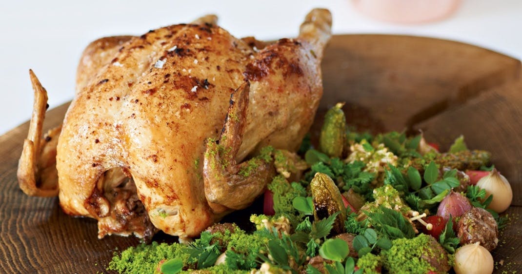 Kylling med persille | bobedre.dk