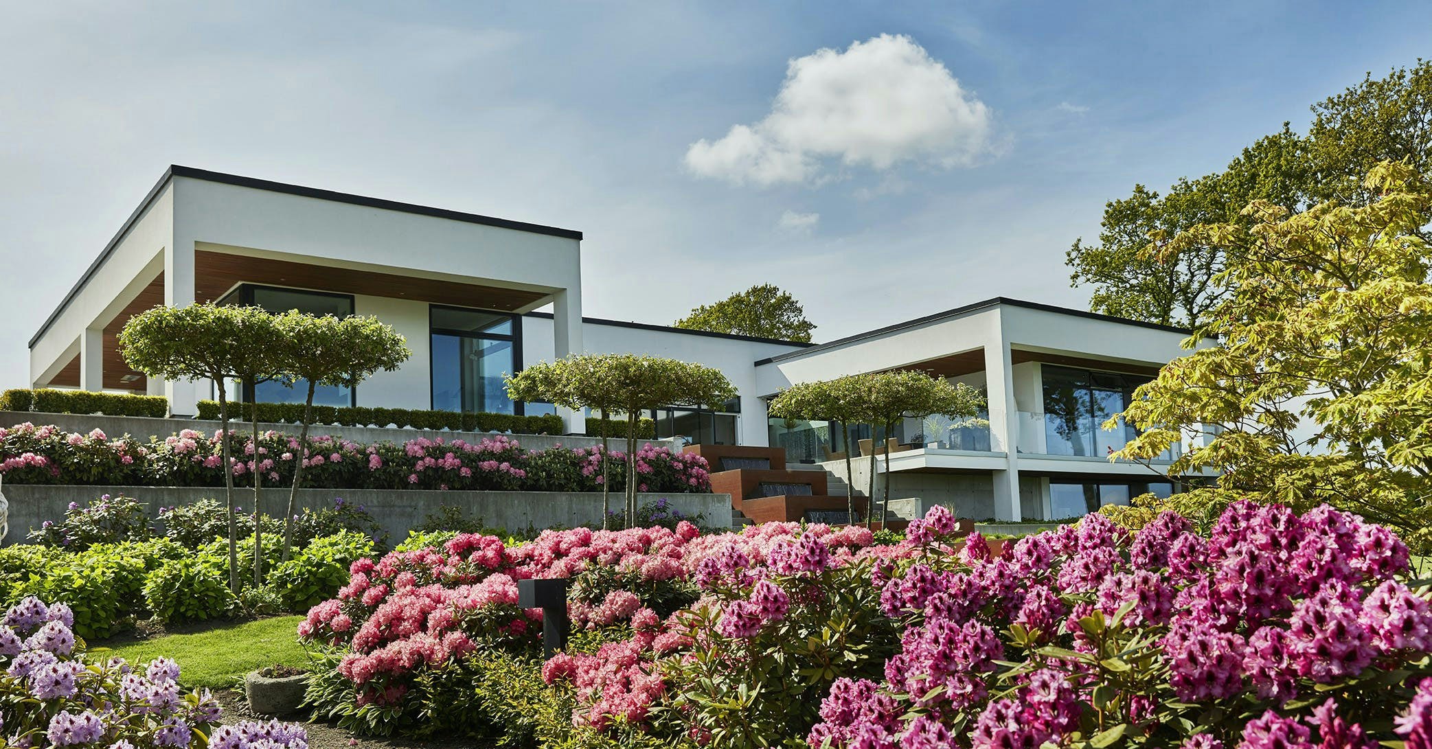 Med et smart plantevalg fremstår denne have frodig året rundt | bobedre.dk