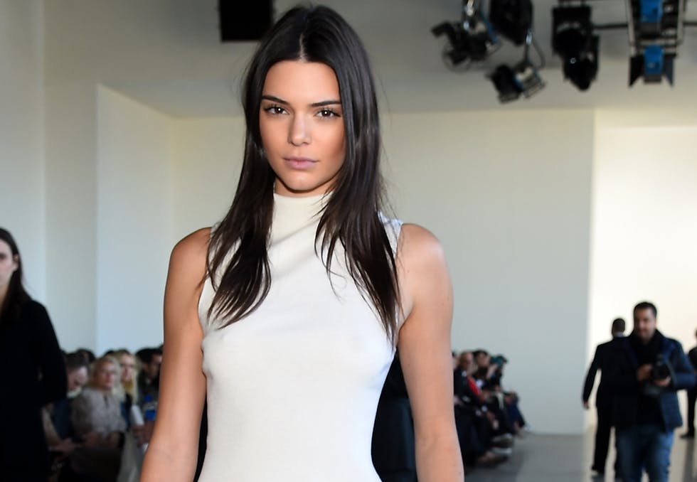 Se så lik hun er Kendall Jenner | costume.no