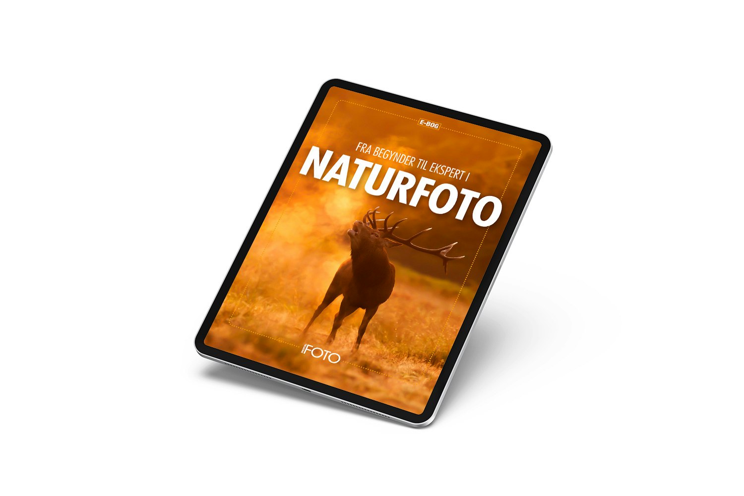 E-bog: Fra begynder til ekspert i naturfoto | digitalfoto.dk