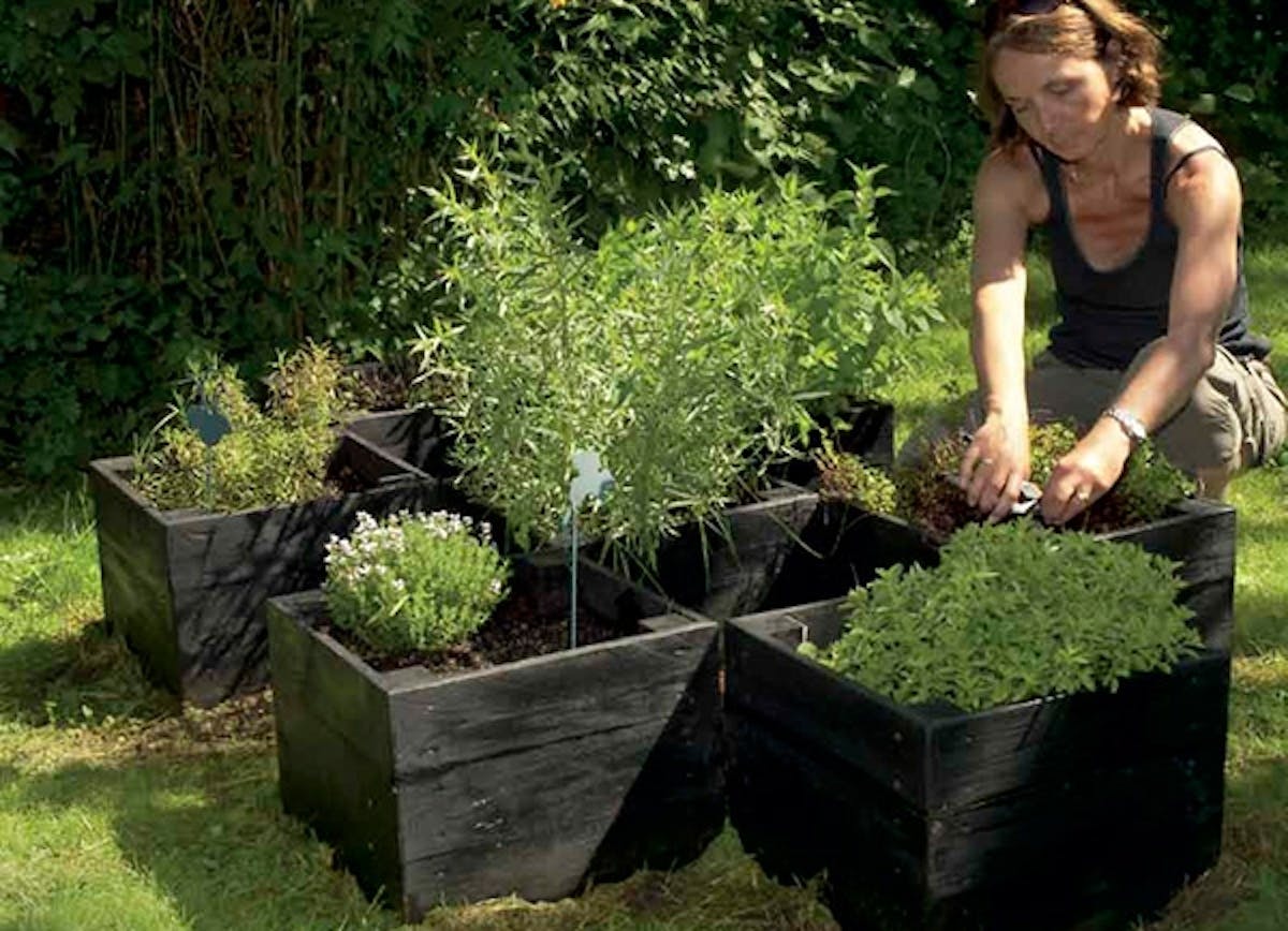 Modulopbyggede plantekasser | Gør Det Selv