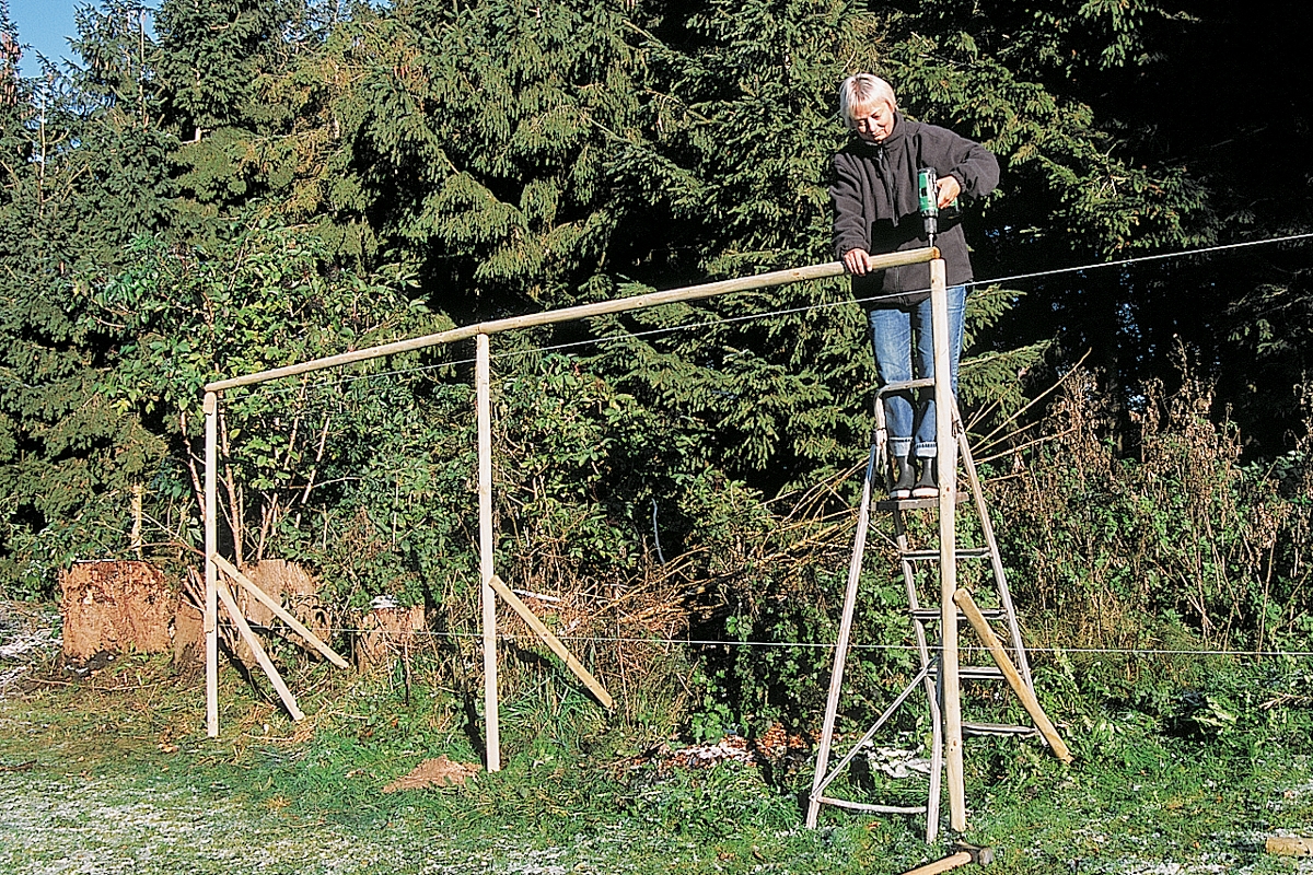 Enkelt grønt gjerde – kun 70 kroner per meter | Gjør Det selv