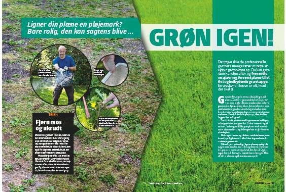 Prof-tips til græsplænen: 5 simple trin! | Gør Det Selv