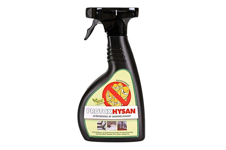 Hvordan kan jeg fjerne muggsopp? | Gjør Det Selv