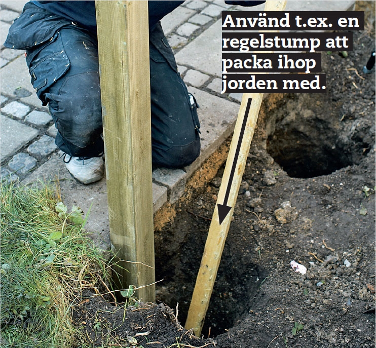 Halvtak – så lätt bygger du det själv | Gör Det Själv