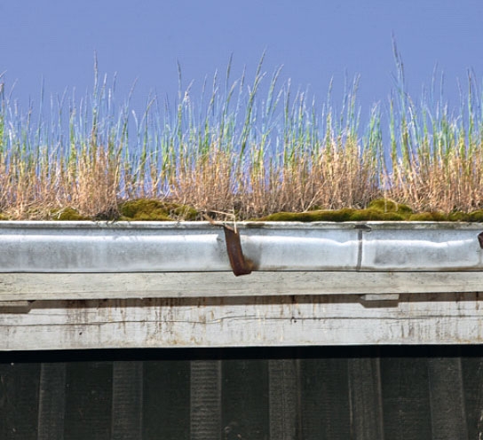 Tagrender: Gør tagrenden klar til regn og sne | Gør Det Selv