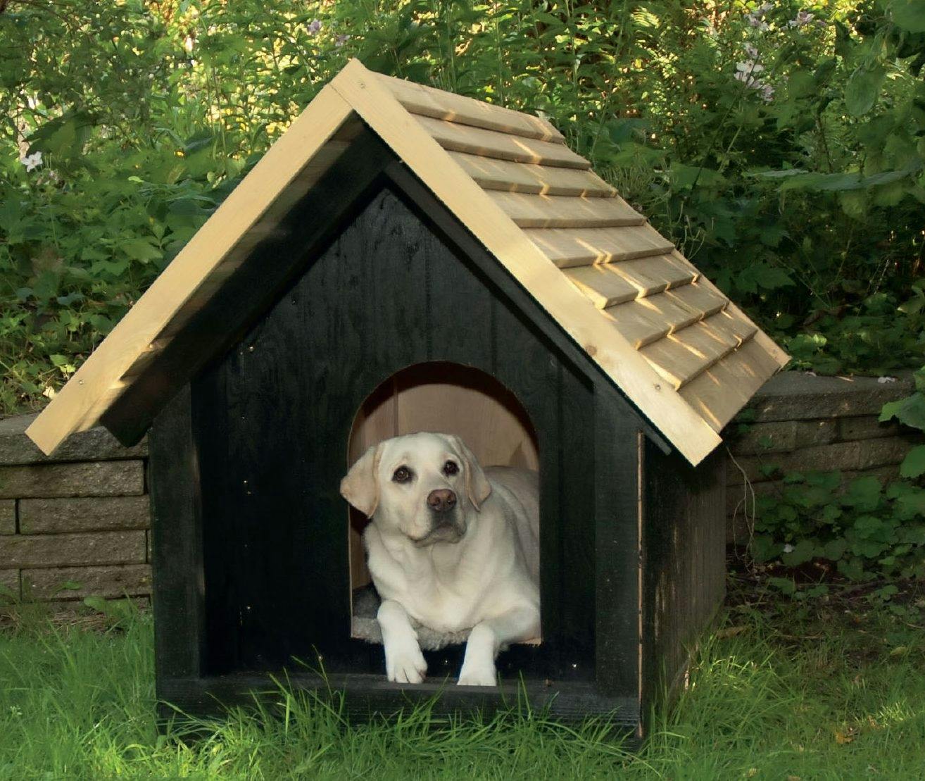 Isolert hundehus - bygg et flott isolert hundehus | Gjør Det Selv