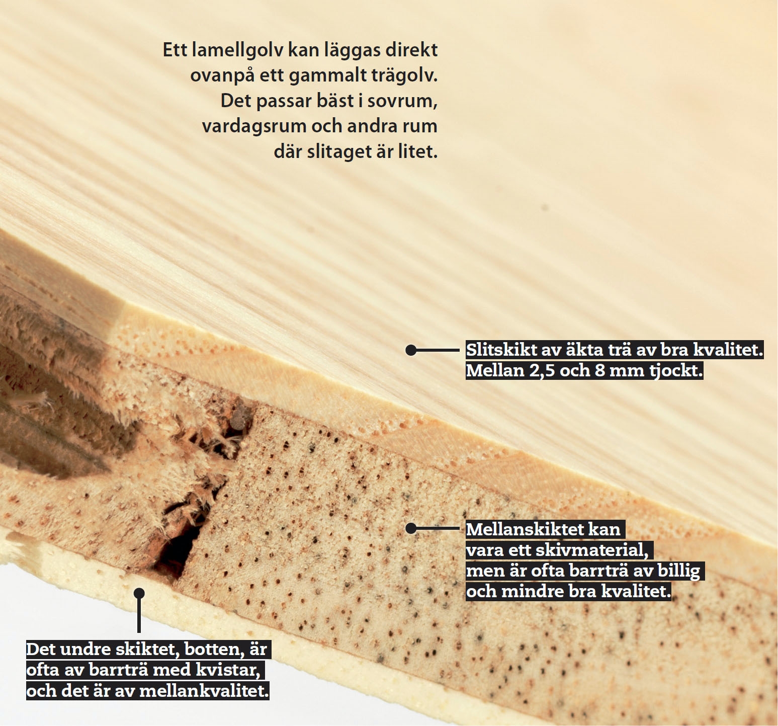 Duellen: Lamell eller laminat | Gör Det Själv