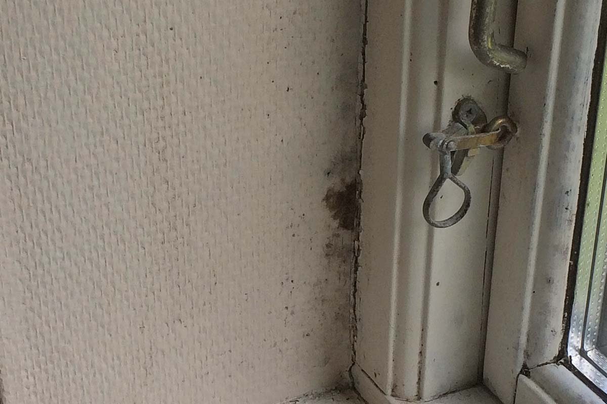 Homesienien Ehk iseminen Ja Poistaminen Tee N in Teeitse