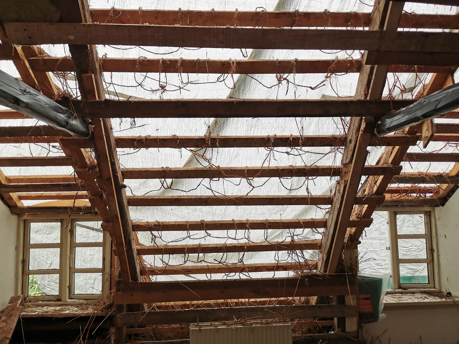 Tak | Ideer, inspirasjon og bilder | gjoerdetselv.com