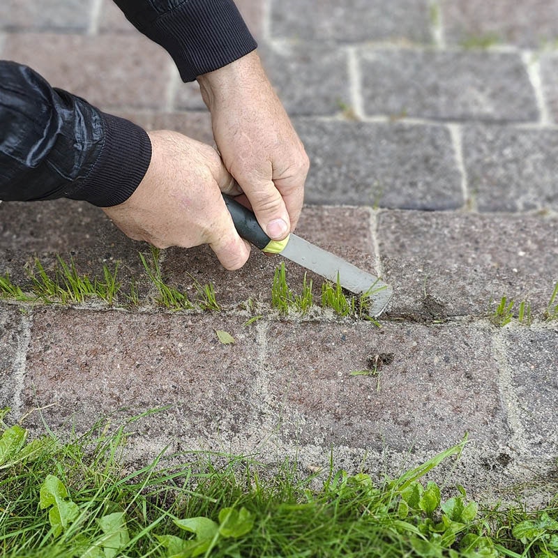 Slipp Ogräs Med Fogsand