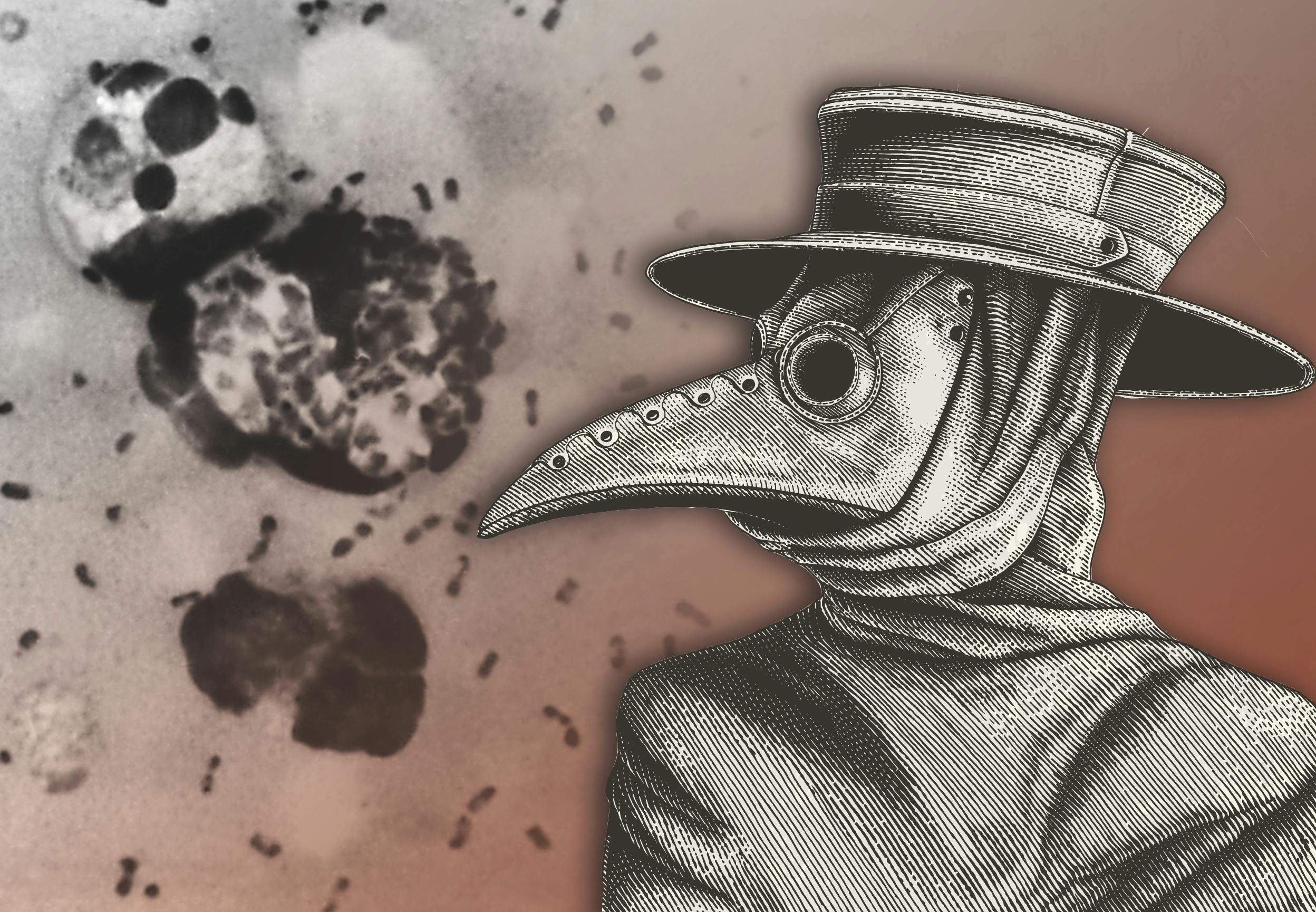 Tämän vuoksi musta surma oli niin tappava | historianet.fi