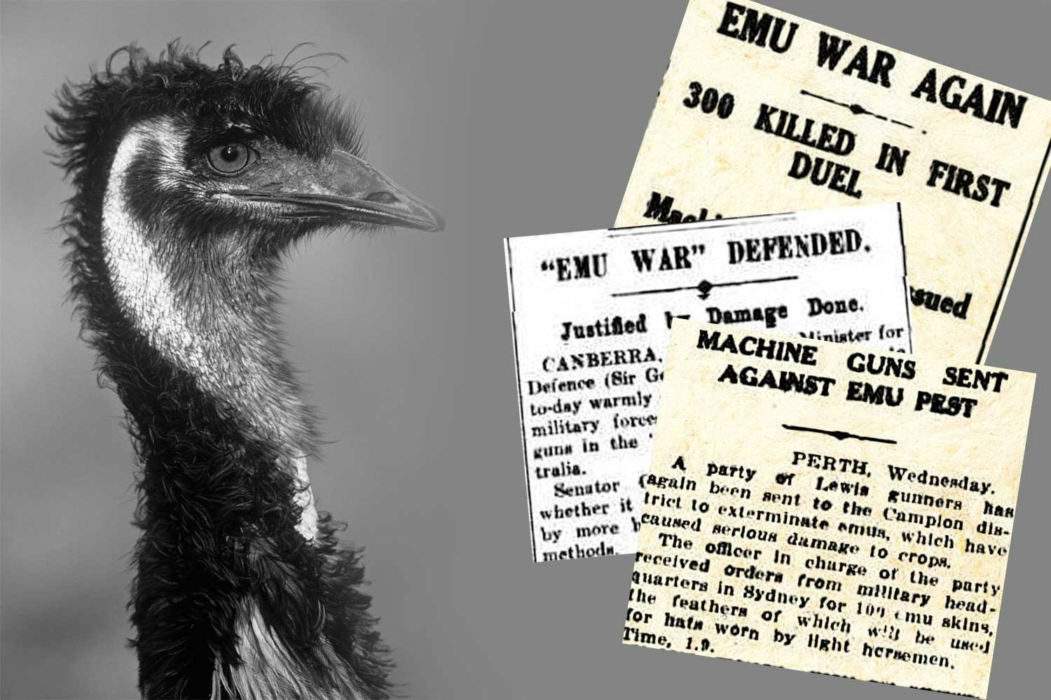 Emuer ydmygede australske soldater | historienet.dk
