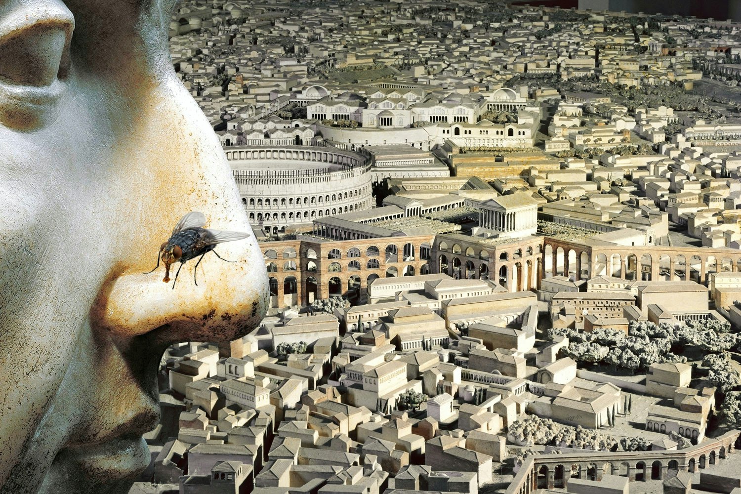 Loiset ja parasiitit kiusasivat roomalaisia | historianet.fi