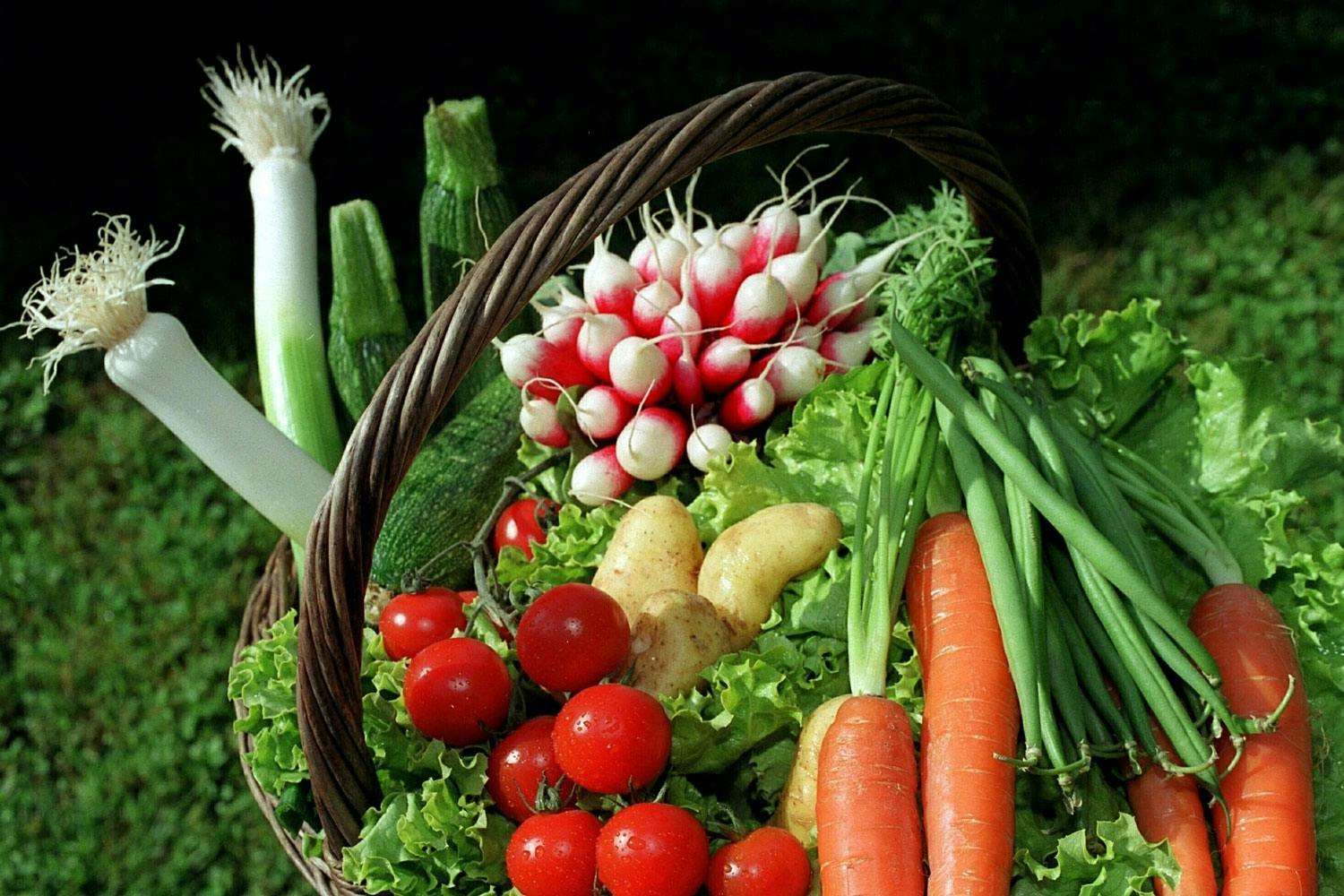 Wie waren de eerste vegetariërs? | historianet.nl