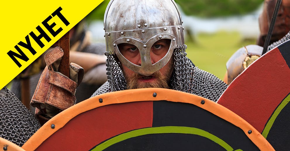 Skinn från får gjorde vikingarnas sköld stryktålig | varldenshistoria.se