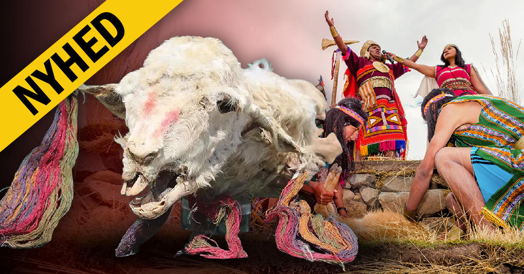 Inkaerne begravede lamaer levende | historienet.dk