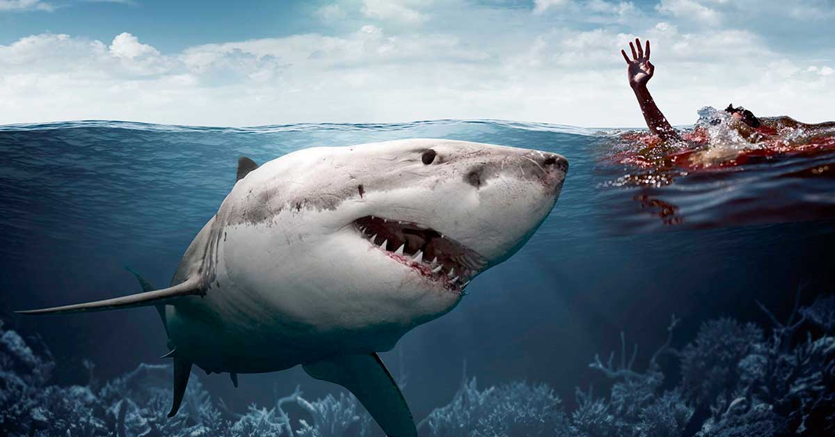 ”Hajen” hände i verkligheten | Varldenshistoria.se