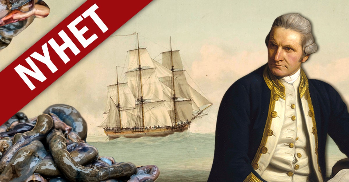 James Cooks skip i fare for å bli spist av skipsormer | historienet.no