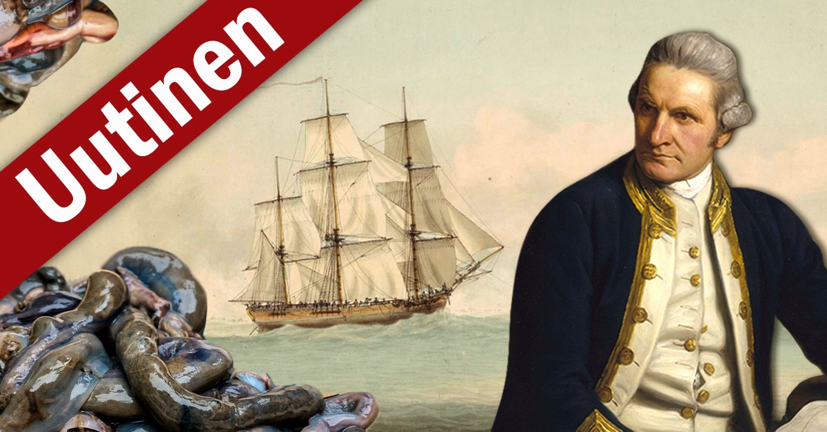 Laivamadot uhkaavat tuhota James Cookin laivan | historianet.fi