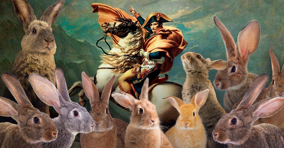 Napoleon blev slået på flugt af kaniner | historienet.dk