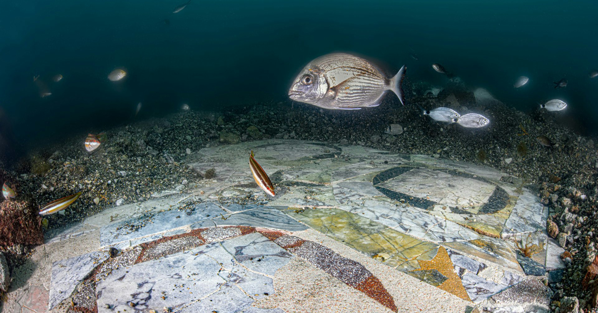 Fantastiskt romerskt marmorgolv hittat under vattnet | varldenshistoria.se