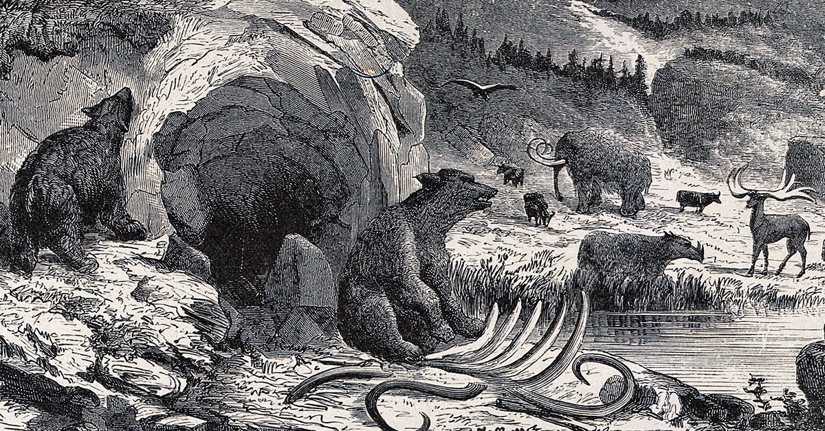 Slik jaktet mennesket på mammuter for 13 000 år siden | historienet.no