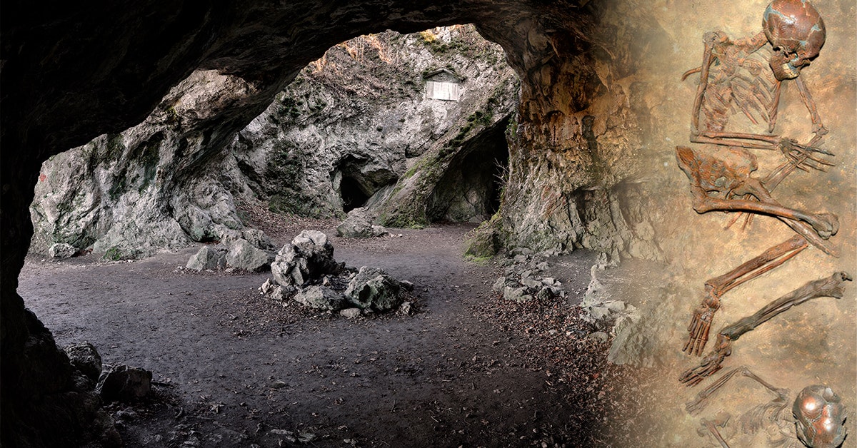 Neandertaler-gravskikke undrer forskerne | historienet.dk