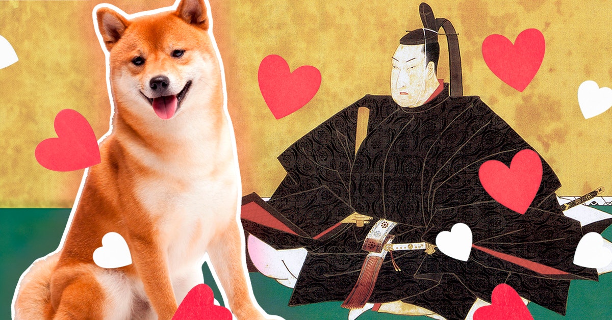 Japansk shogun satte hundar högre än människor | varldenshistoria.se