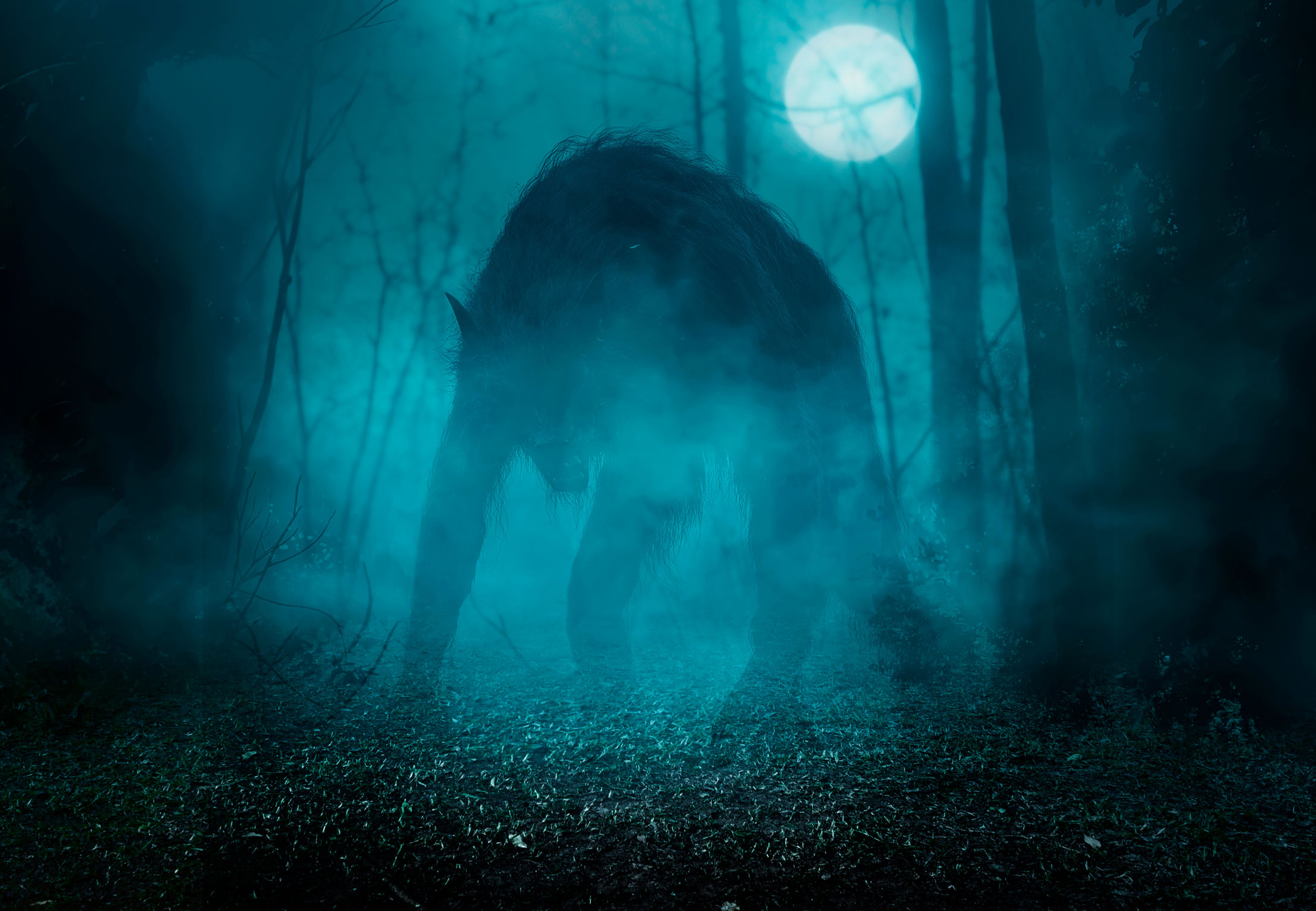 Waarnemingen Van Skinwalkers The Secret Of Skinwalker Ranch Seizoen 6: