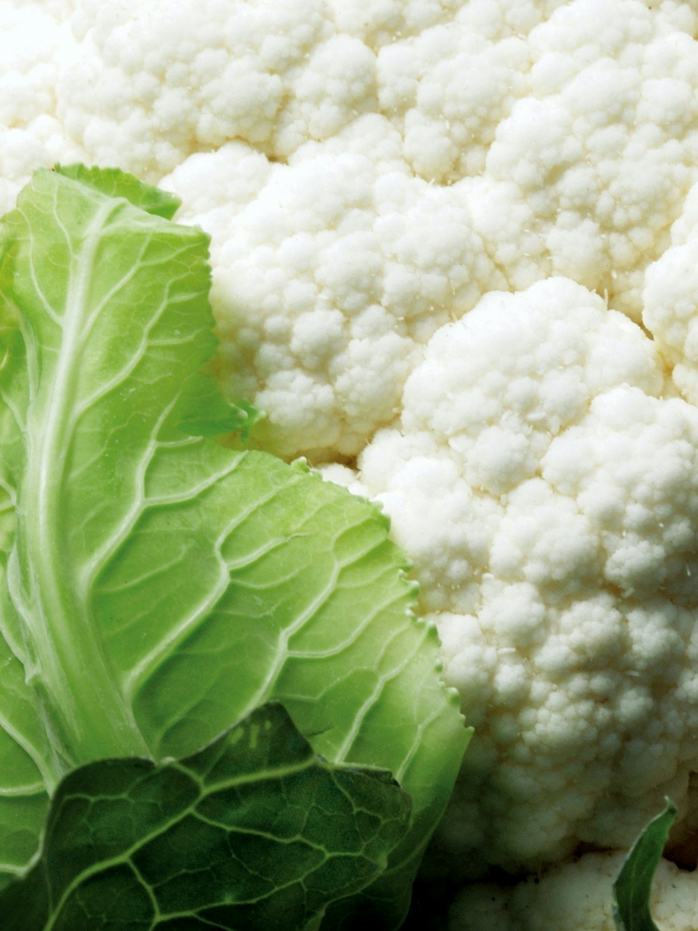 Blomkål | iform.dk