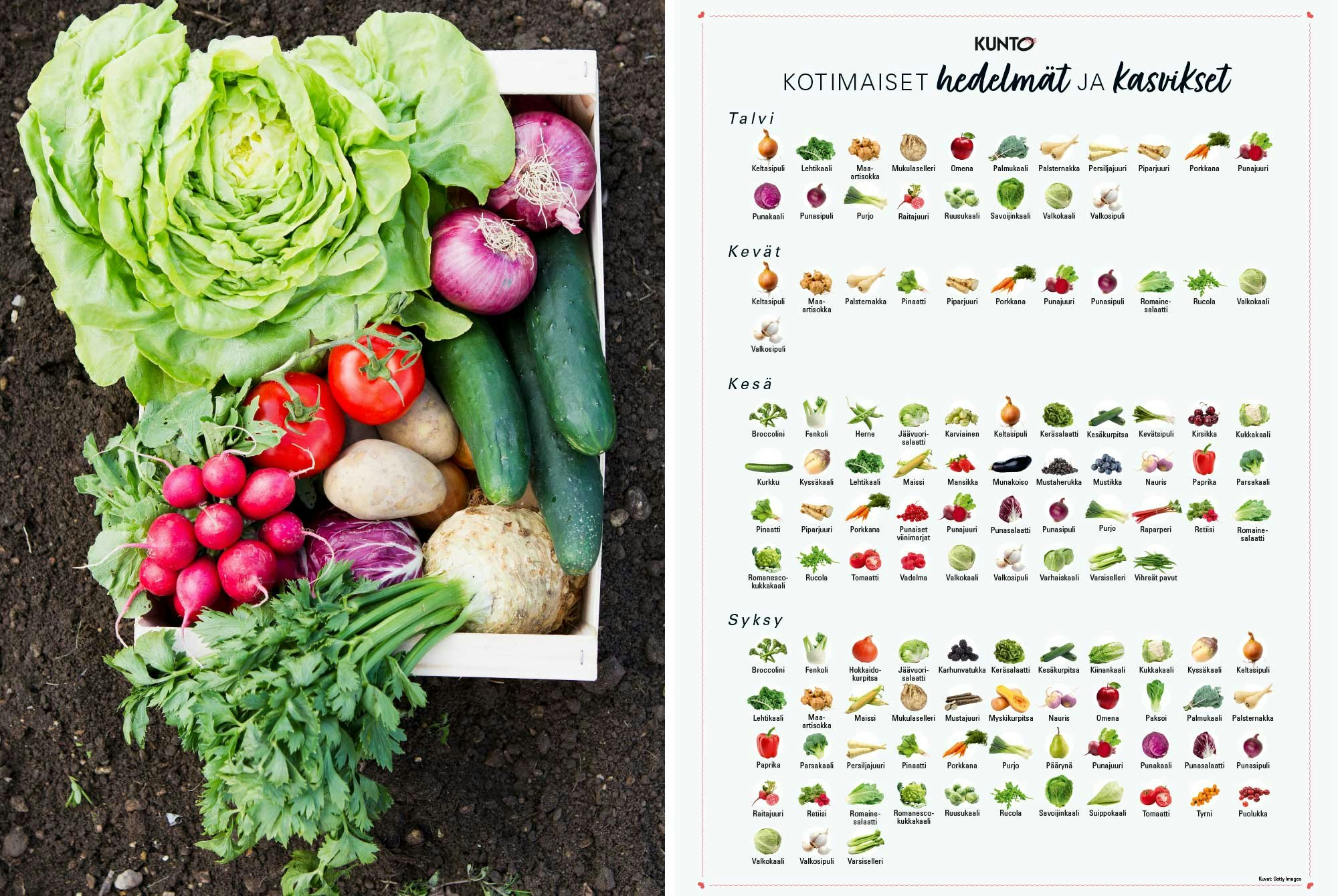 Kotimaisiset kasvikset, marjat ja hedelmät joka vuodenaikaan – lataa ...