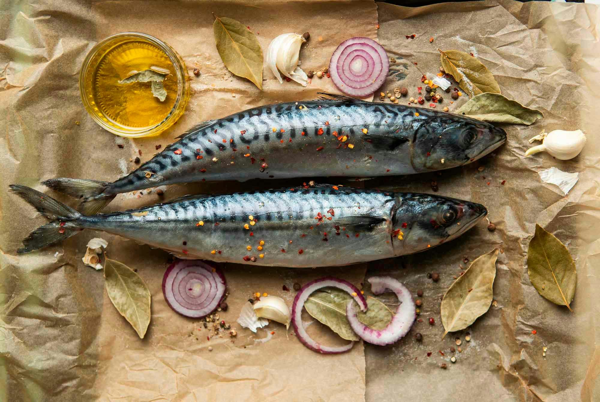 Makrell – en supersunn og billig fisk – få tips og fakta her | iform.nu