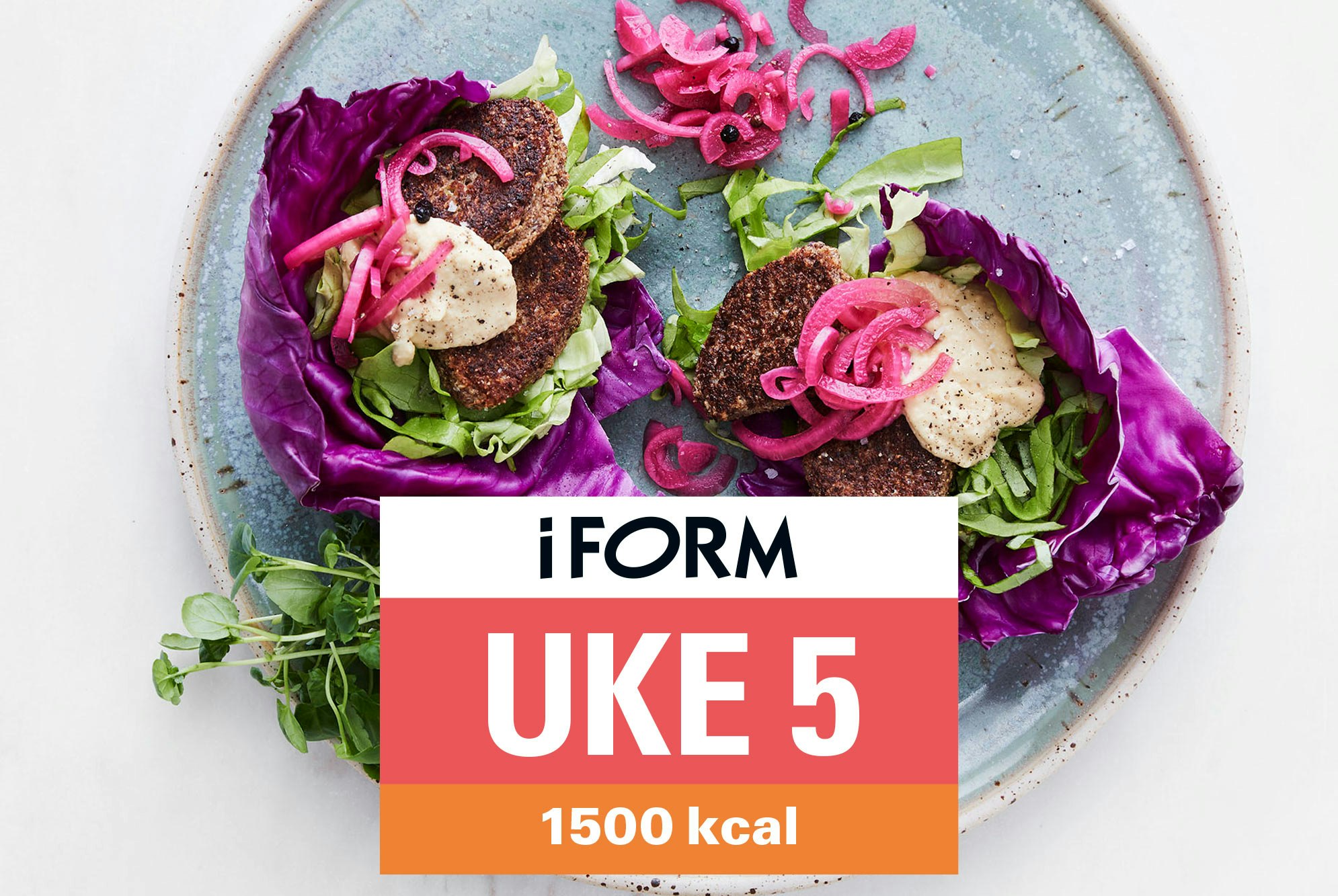 Uke 5 • Matplan 1500 kcal | iform.nu
