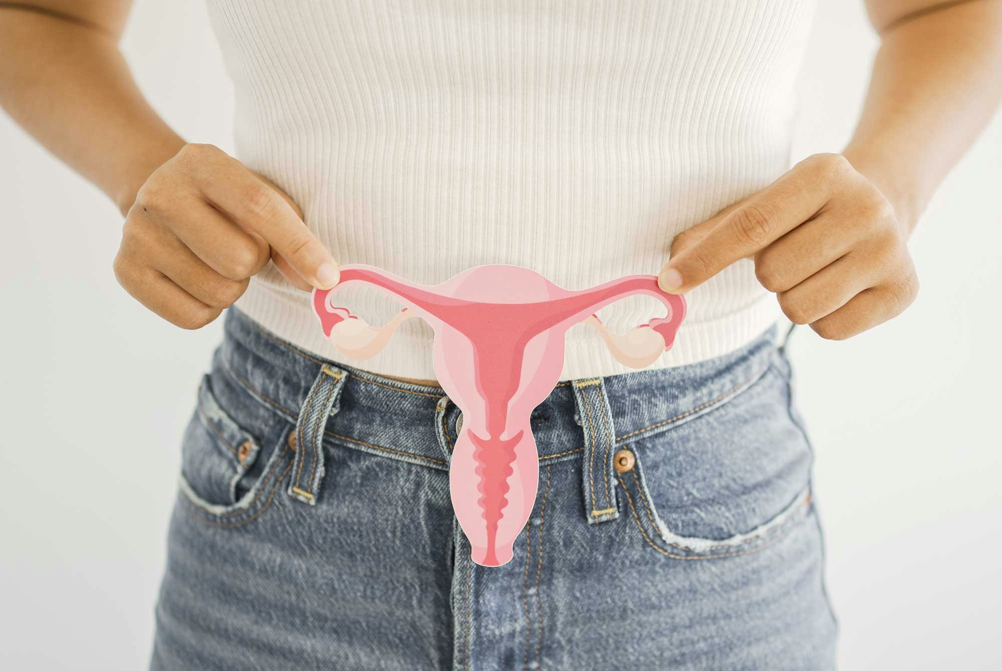 Østrogen – slik påvirker hormonet kroppen og helsen din | iform.nu