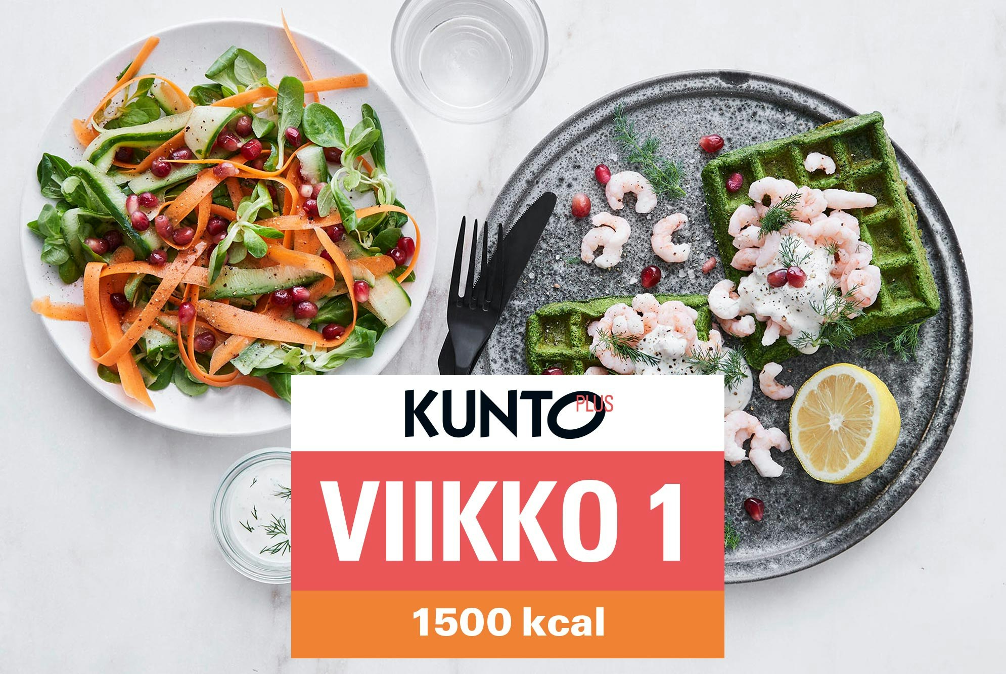 Viikko 1 • Ruokavalio 1500 kcal | kuntoplus.fi
