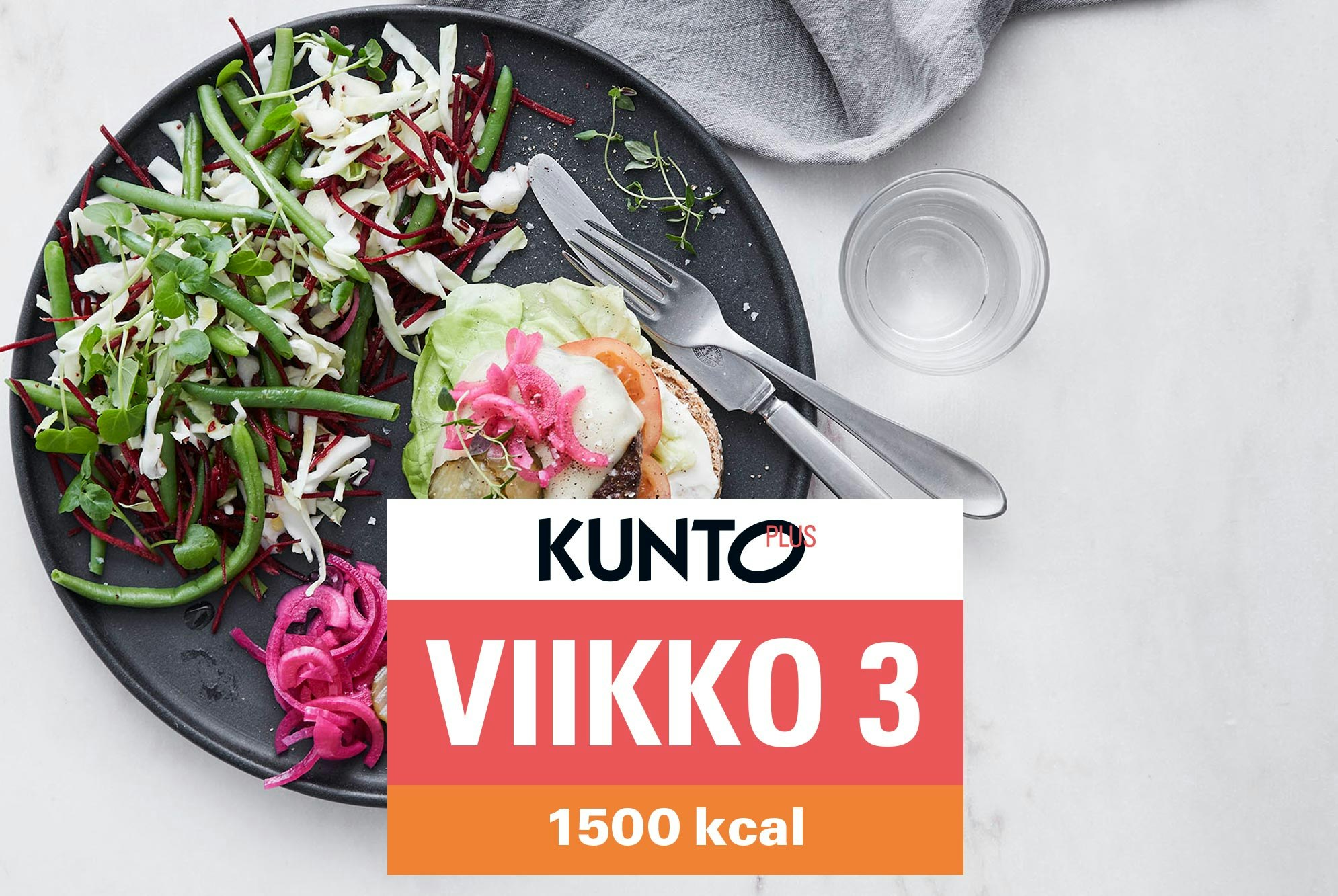 Viikko 3 • Ruokavalio 1500 kcal | kuntoplus.fi