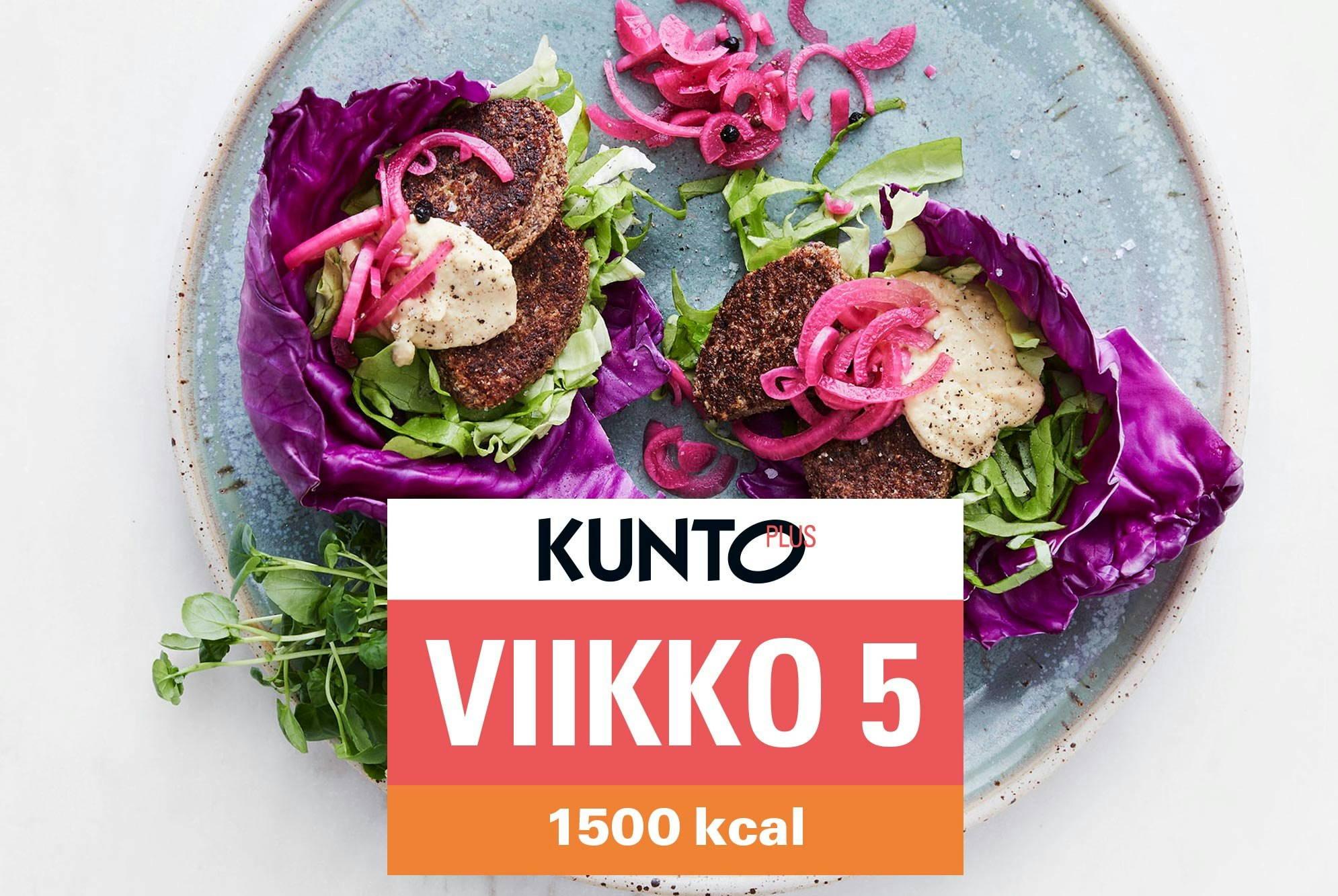 Viikko 5 • Ruokavalio 1500 kcal | kuntoplus.fi