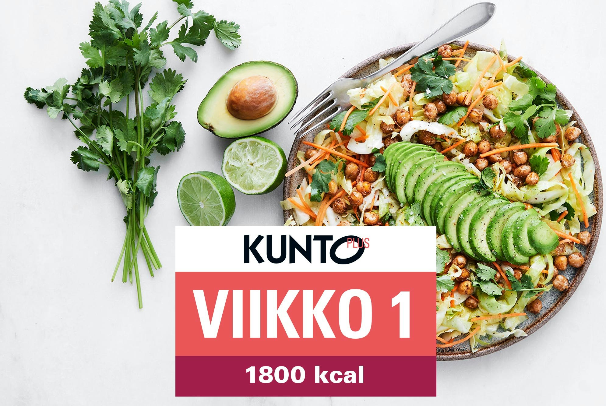 Viikko 1 • Ruokavalio 1800 kcal | kuntoplus.fi