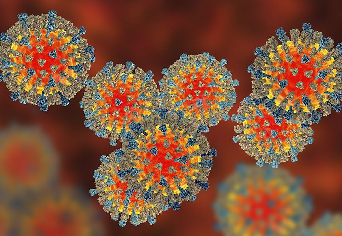 Kuolemattomat tappajat: Tuhkarokko on voitettu Euroopassa 62 ...