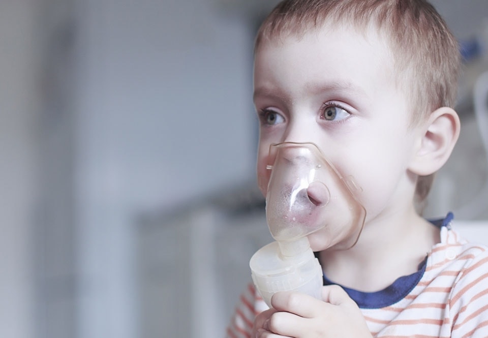 Ormekur kurerer astma | illvid.dk