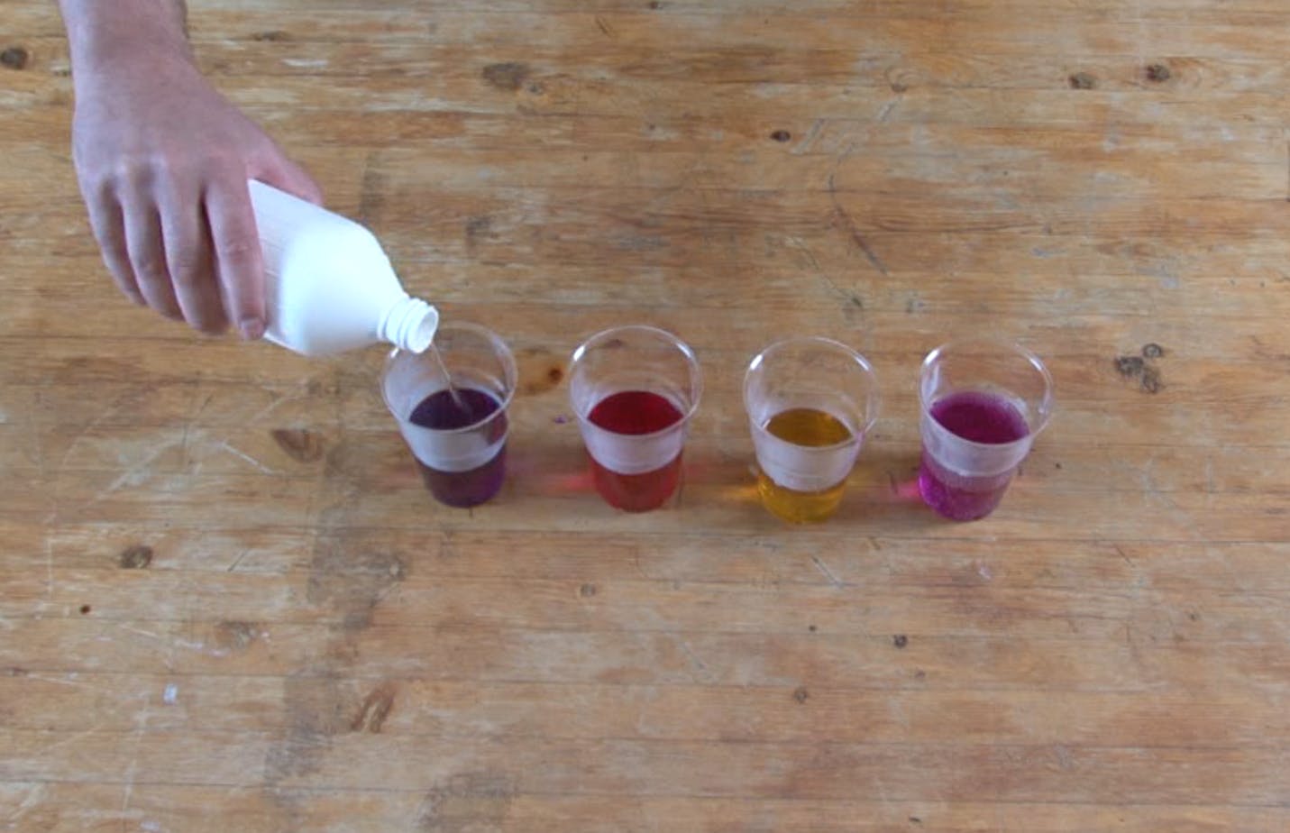 Thuislaboratorium: Meet pH-waarden met rode kool | wibnet.nl