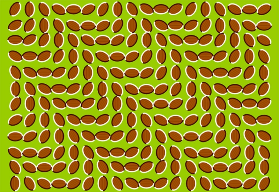 Synet bedrar: Kan du få mandlene til å ligge stille? | illvit.no