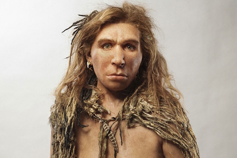 Neandertalere var lige så intelligente som moderne mennesker | illvid.dk