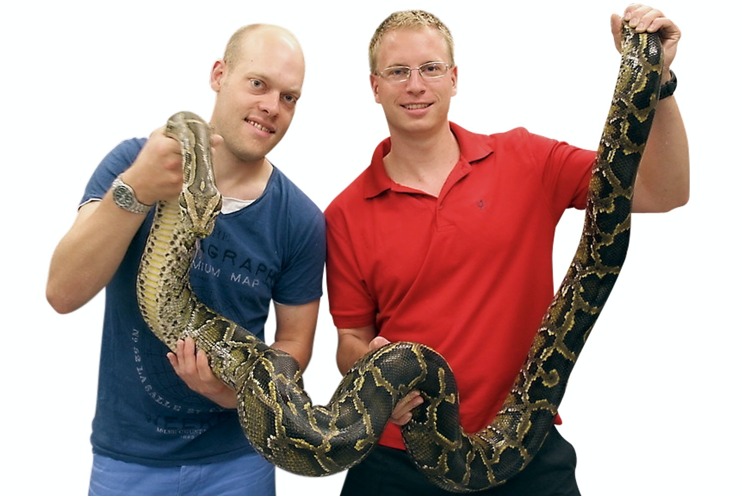 Grootste Slang Ter Wereld Record Anaconda – Dit Is De Grootste Slang