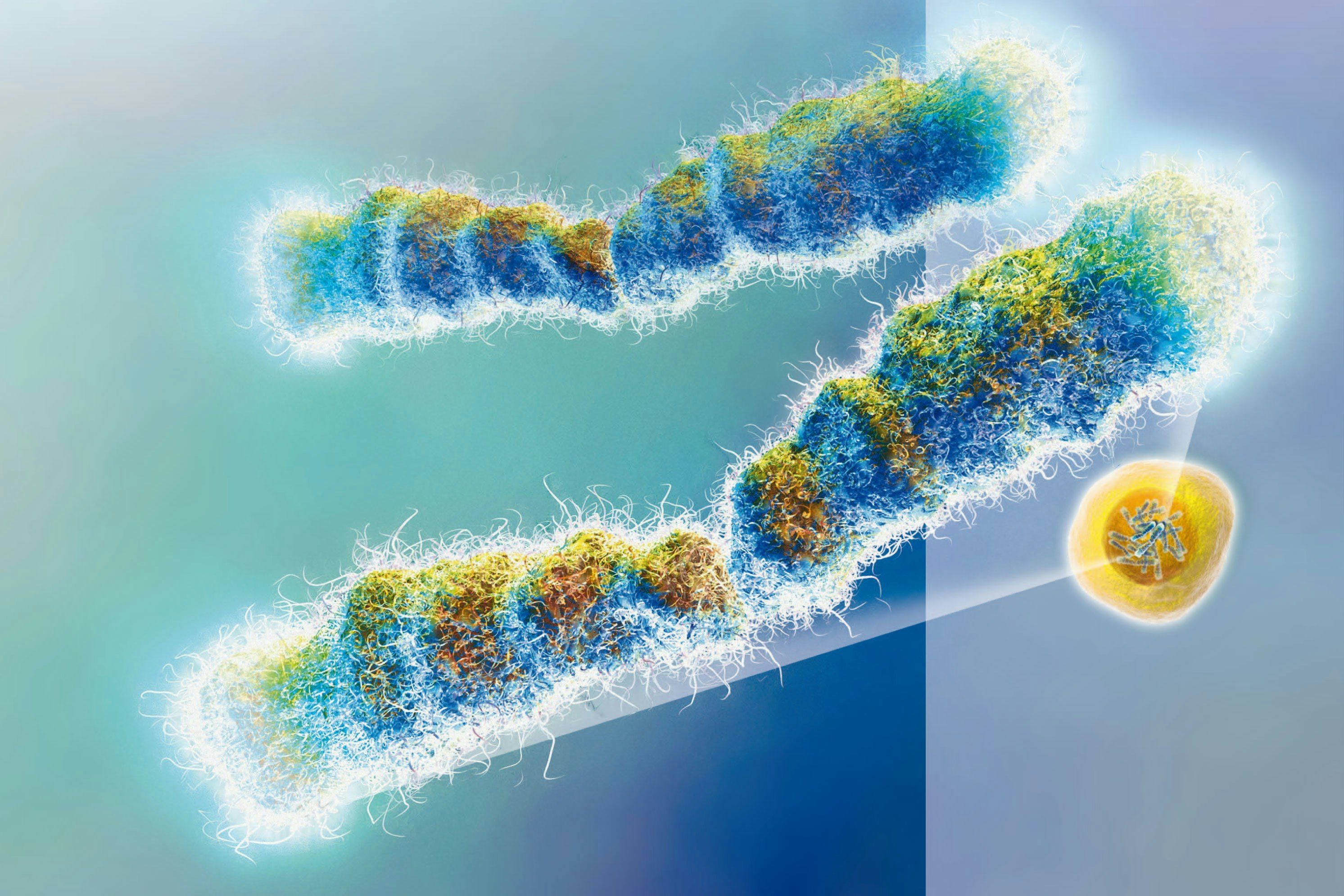 Dine gener gør dig gammel | illvid.dk